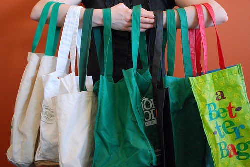 Top 3 Reusable Bags for Fundraising: Sell and Save Environment